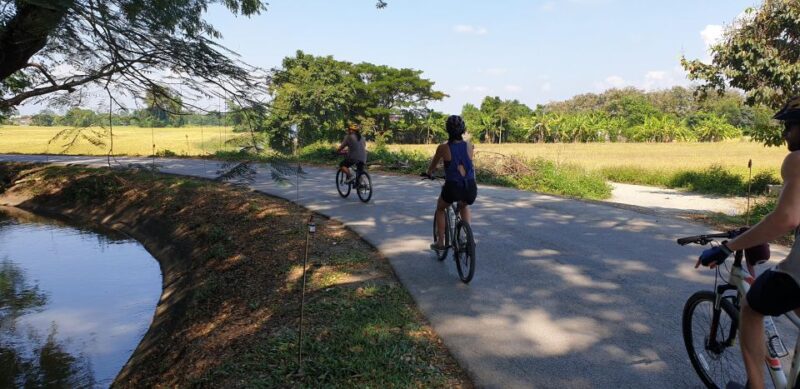 Chiang Mai: Half-Day Private Bicycle Tour with Lunch - What’s Included and What to Consider