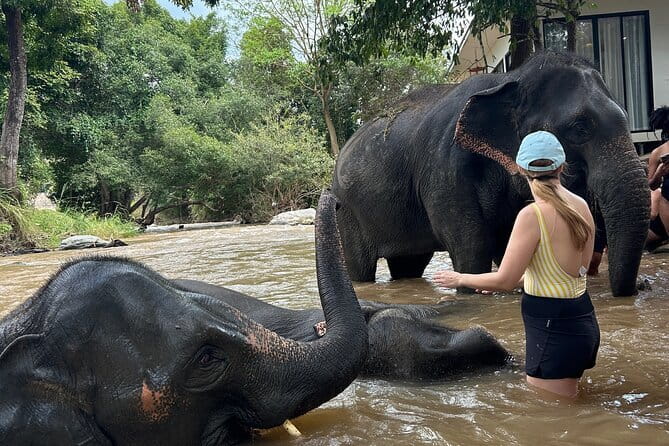 Chiang Mai Half Day Tour: Doi Inthanon Elephant Sanctuary - Key Points
