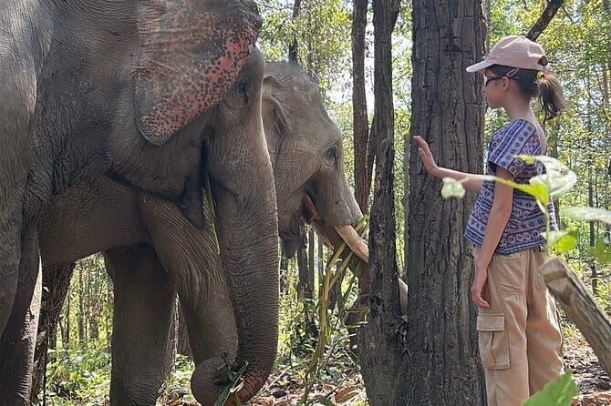 Chiang Mai Half Day Tour: Doi Inthanon Elephant Sanctuary - Final Thoughts: Who Will Appreciate This Tour?