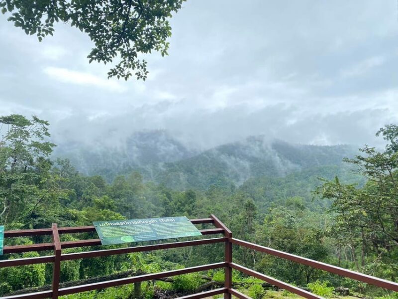 Chiang Mai Half Day Tour: Sticky Waterfall & Hotel Transfer - Final Thoughts