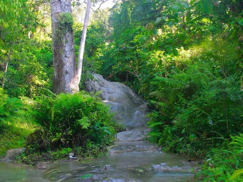 Chiang Mai: Hidden Gem Waterfall and Local Market Tour - Who Will Love This Tour