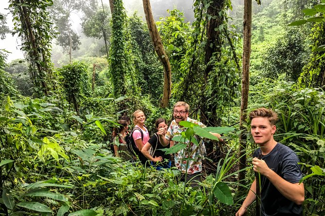 Chiang mai Hike & Downhill Bike Adventure Suthep National Park - Who’s This Tour For?