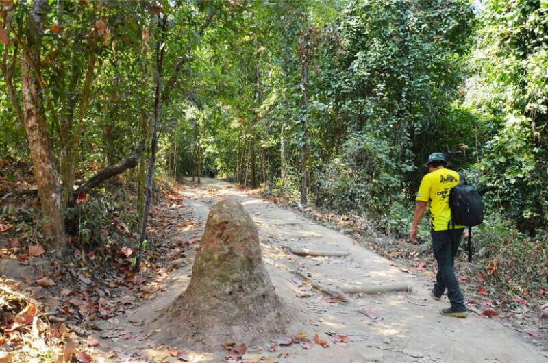 Chiang Mai: Hike on Monks Trail and Doi Suthep Private Tour - FAQ