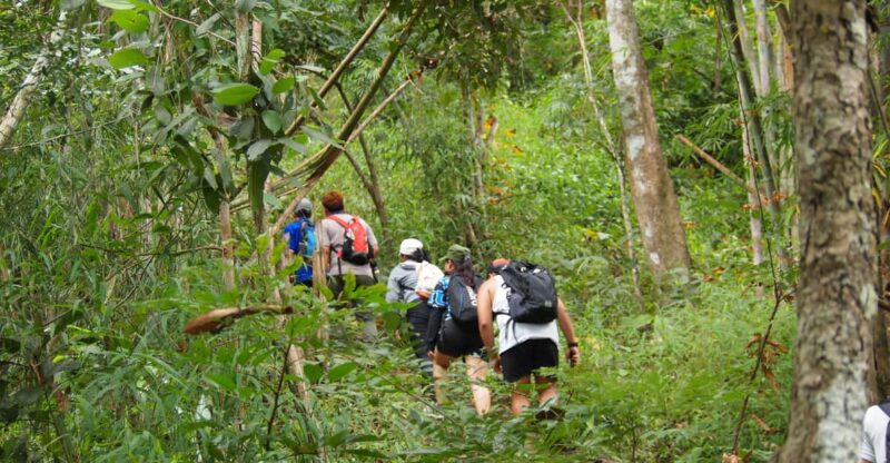 Chiang Mai: Hilltribe Hiking and Kayaking Day Trip - What Travelers Say