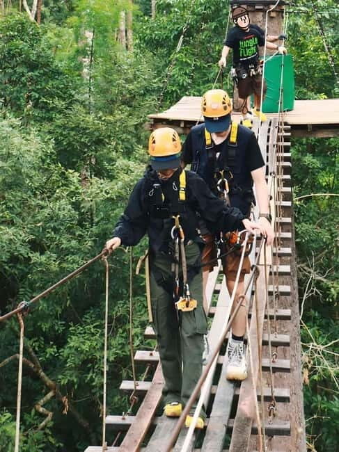 Chiang Mai: Jungle Flight Zipline Adventure - Key Points