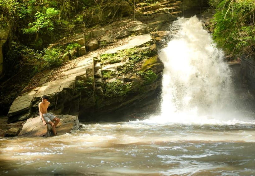 Chiang Mai: Jungle Jumbo Elephant Sanctuary with Waterfall - Key Points
