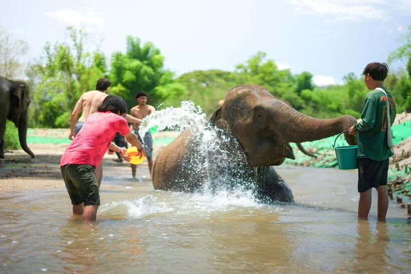 Chiang Mai: Jungle Jumbo Elephant Sanctuary with Waterfall - Final Thoughts