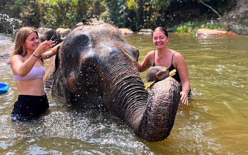 Chiang Mai: Jungle Trek, Elephants care & Bamboo Rafting - Who Will Appreciate This Tour?