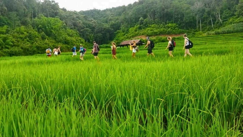 Chiang Mai: Jungle Trek, Elephants care & Bamboo Rafting - FAQ