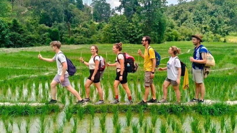 Chiang Mai: Jungle Trek, Elephants care & Bamboo Rafting - Introduction