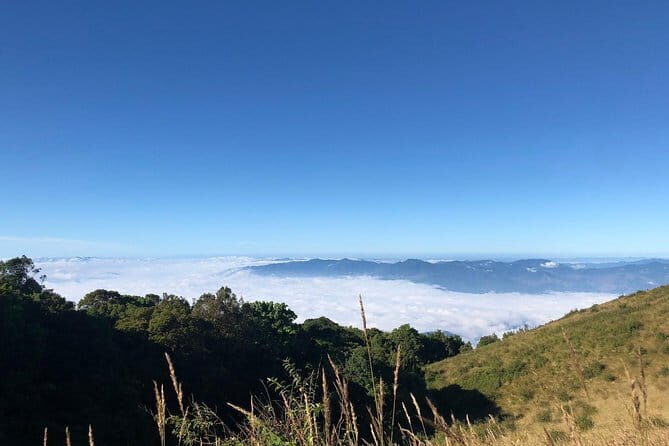 Chiang Mai Ladyboy Cabaret Show with Dinner and Drinks - Is This Tour Right for You?