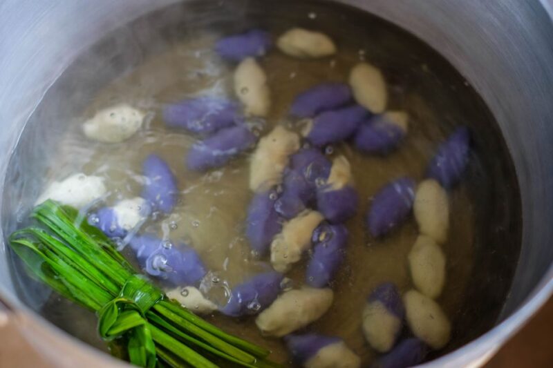 Chiang Mai Local Village Exploring with Weaving Experience - Key Points