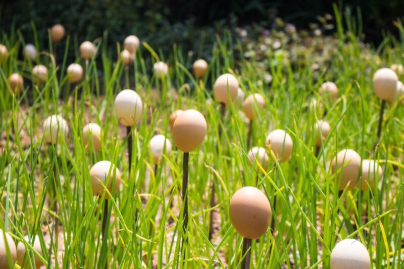 Chiang Mai Local Village Exploring with Weaving Experience - Who should consider this tour?