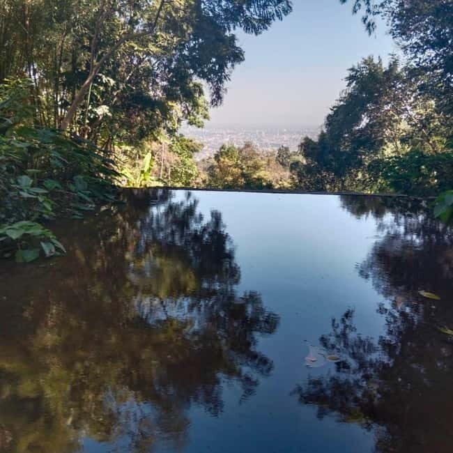 Chiang Mai Monk's Trail Wat Pha Lat & Visit Wat Doi Suthep - An In-Depth Look at the Tour Experience