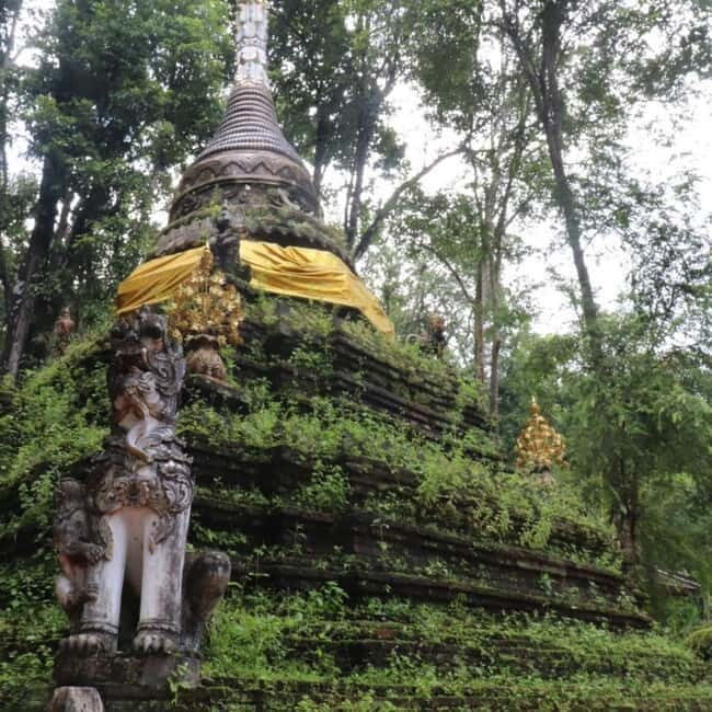 Chiang Mai Monk's Trail Wat Pha Lat & Visit Wat Doi Suthep - The Sum Up