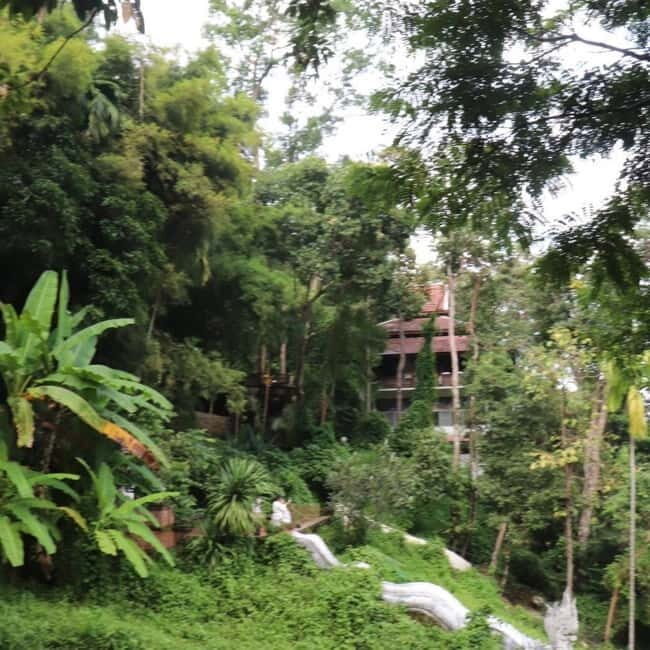 Chiang Mai Monk's Trail Wat Pha Lat & Visit Wat Doi Suthep - FAQ