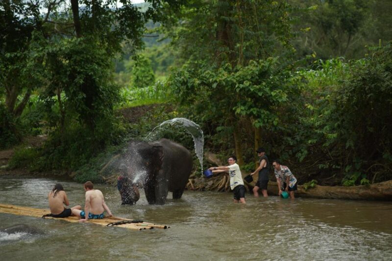 Chiang Mai: National Elephant Care, Rafting, & Ziplines Trip - Key Points