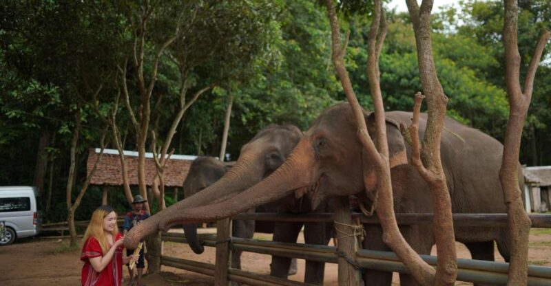 Chiang Mai: National Elephant Care, Rafting, & Ziplines Trip - Choosing Between Rafting and Ziplines