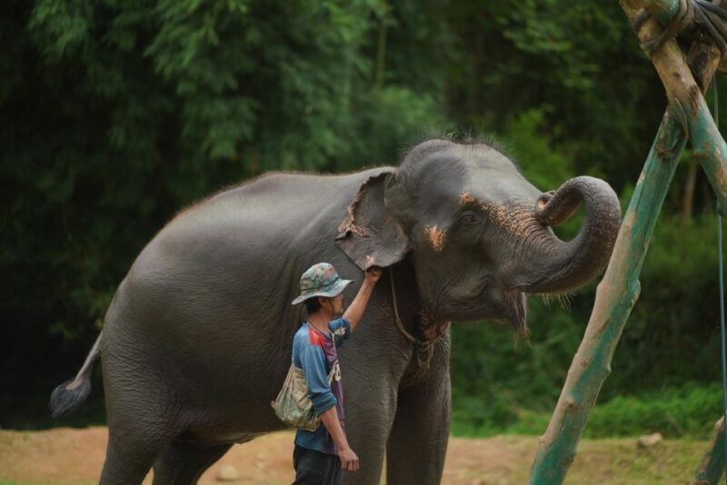 Chiang Mai: National Elephant Care, Rafting, & Ziplines Trip - Frequently Asked Questions