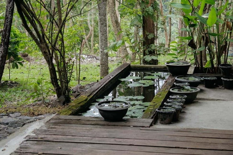 Chiang Mai: Nature and Nurture 1-Day All About Love Retreat - An In-Depth Look at the Day Retreat Experience