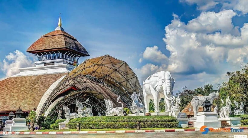Chiang Mai Night Safari: Entry Ticket with Tram Ride - An In-Depth Look at Chiang Mai Night Safari