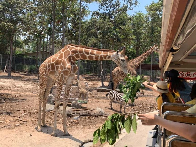 Chiang Mai Night Safari: Entry Ticket with Tram Ride - FAQs