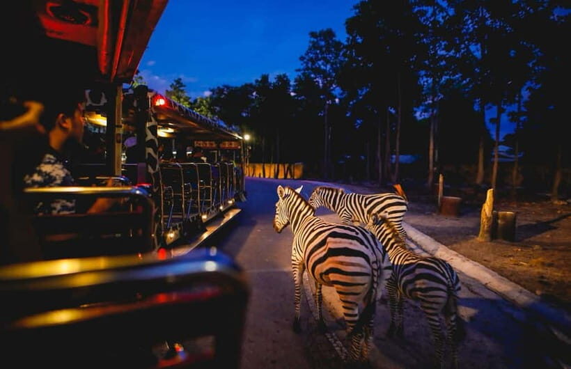 Chiang Mai Night Safari Full Access Ticket & Optional Pickup - Key Points