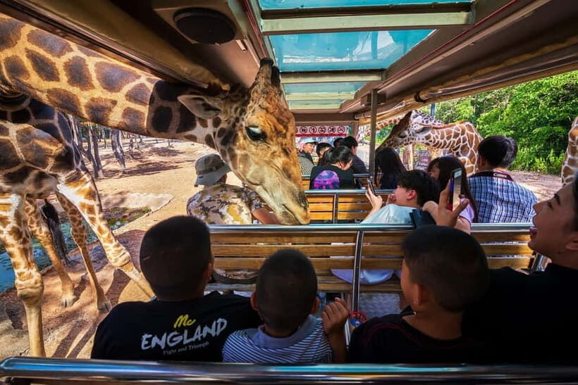 Chiang Mai Night Safari Full Access Ticket & Optional Pickup - The Experience on the Ground: What to Expect