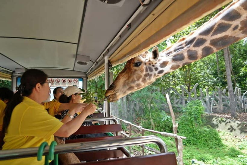 Chiang Mai Night Safari Full Access Ticket & Optional Pickup - Practical Tips for Your Visit