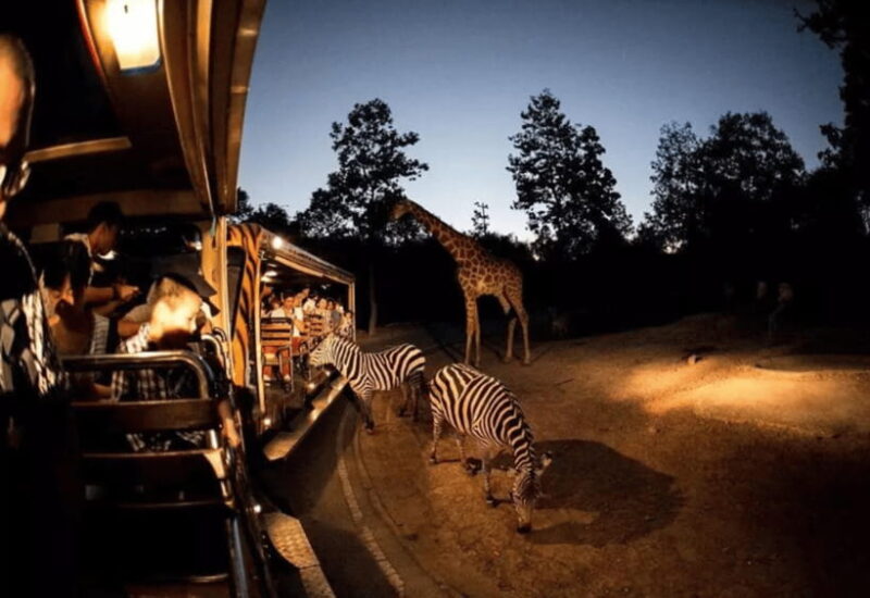 Chiang Mai: Night Safari Ticket with Transfer - Who Will Love This Tour?
