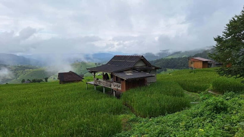 Chiang Mai : Pa Bong Piang Rice Terraces & Doi Inthanon - Key Points