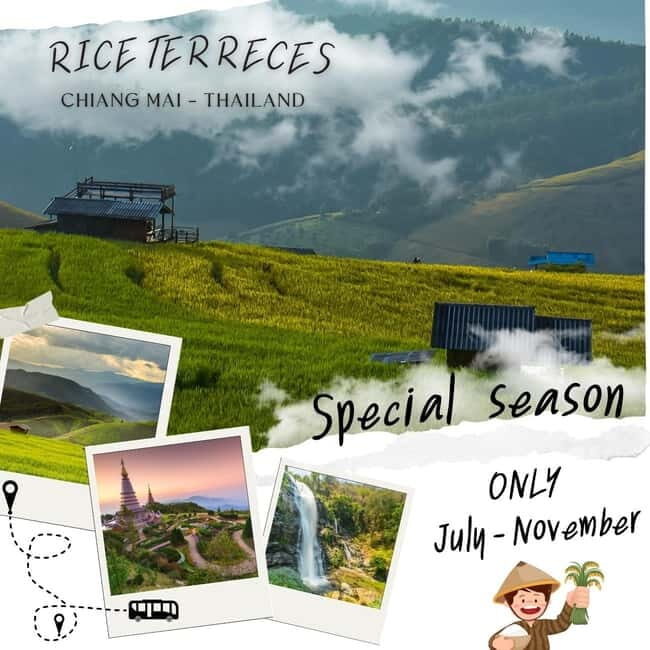 Chiang Mai : Pa Bong Piang Rice Terraces & Doi Inthanon - An In-Depth Look at the Tour Experience