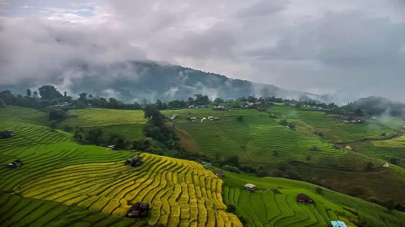 Chiang Mai : Pa Bong Piang Rice Terraces & Doi Inthanon - FAQ