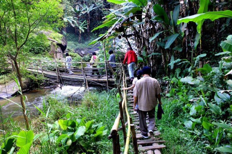 Chiang Mai: Pha Dok Siew Nature Trail & Doi Inthanon Trip - The Value Proposition