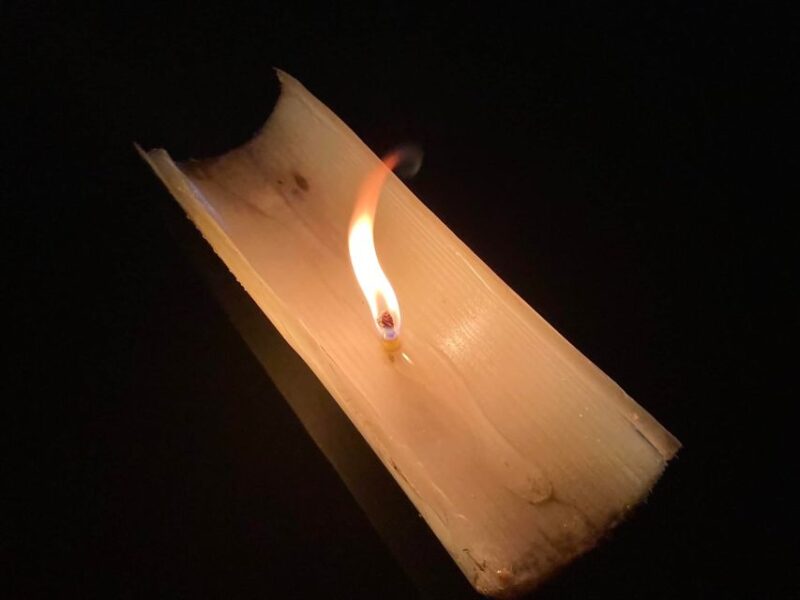 Chiang Mai: Ping River Night Kayaking into City Center - Key Points