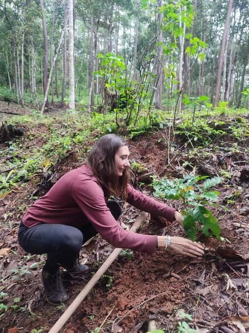 Chiang Mai: Plant a Tree Adventure Tour - Key Points