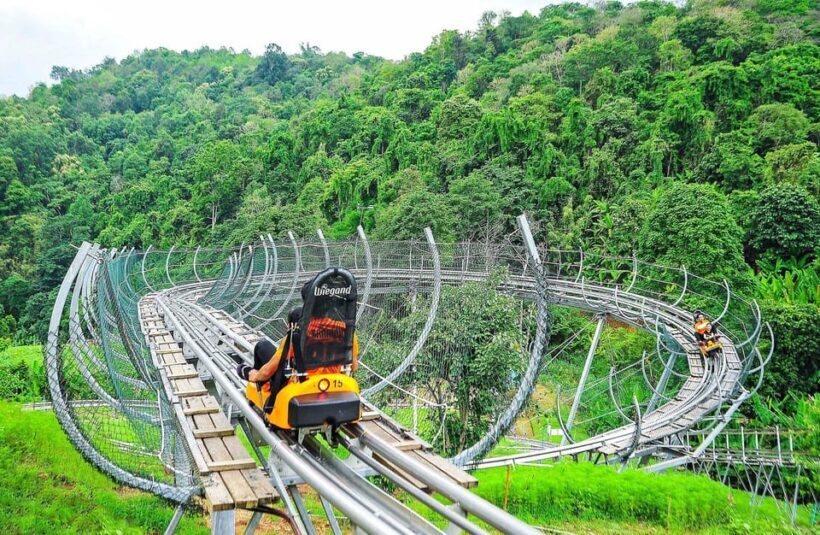 Chiang Mai : Pongyang Jungle Coaster Zipline - What the Tour Entails
