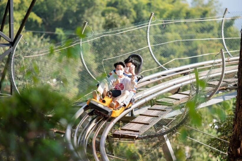 Chiang Mai : Pongyang Jungle Coaster Zipline - This tour is best for active travelers eager to combine nature with adrenaline, couples or small groups looking for a private adventure, and anyone wanting a memorable day immersed in Thailand’s beautiful landscape.