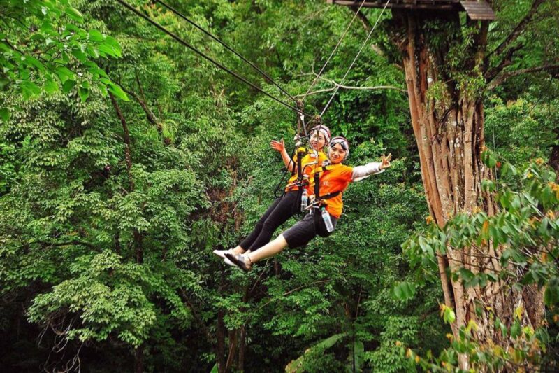 Chiang Mai: Pongyang Jungle Coaster & Zipline with Transfer - Is It Worth the Price?