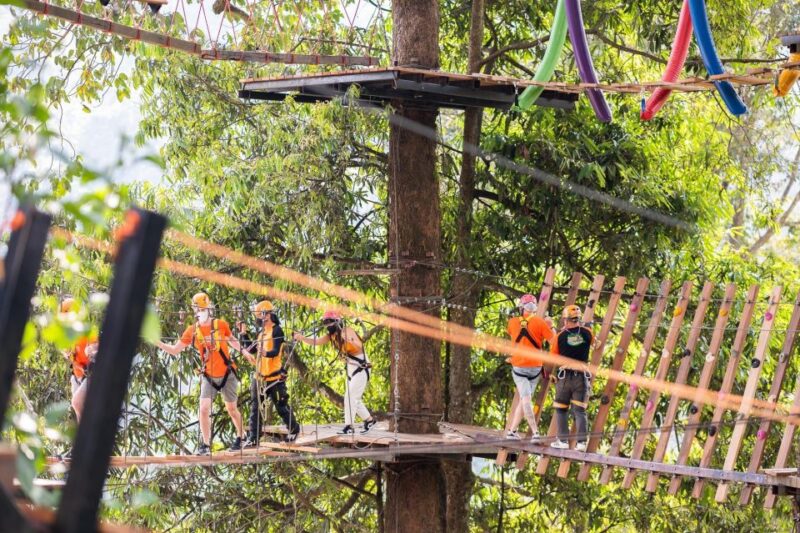 Chiang Mai: Pongyang Jungle Coaster & Zipline with Transfer - Final Thoughts on the Experience
