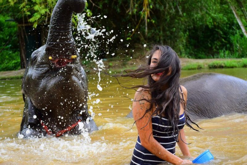 Chiang Mai: Private Elephant Care Experience for Couples - The Mud Bath and Playful Elephants
