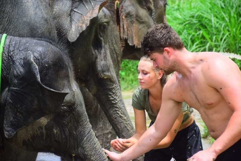 Chiang Mai: Private Elephant Care Experience for Couples - Is This Tour Worth the Cost?