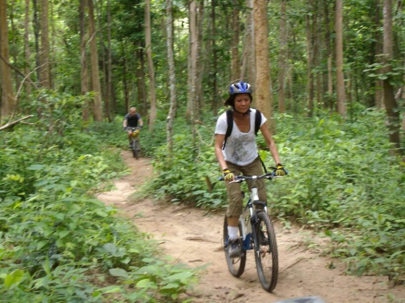 Chiang Mai: Rainforest Guided Mountain Biking Tour - Practical Tips for Your Trip