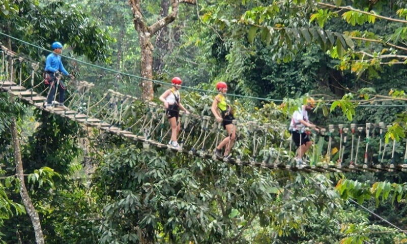 Chiang Mai: Skyhawk Zipline with Optional ATV Ride - Who Will Love This Experience?