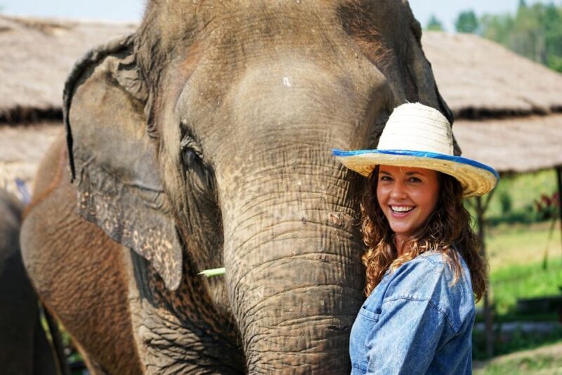 Chiang Mai: Small Group Ethical Elephant Sanctuary Tour - Authentic Encounters in a Natural Setting