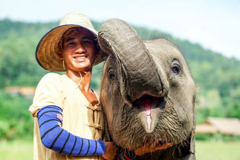 Chiang Mai: Small Group Ethical Elephant Sanctuary Tour - The Sum Up: Is This Tour for You?