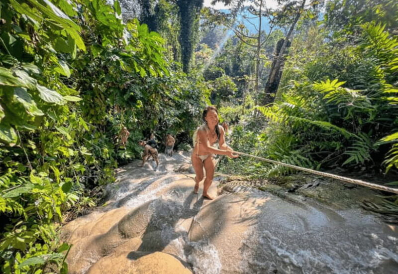 Chiang Mai: Sticky Waterfall, Bua Tong Cave Join Tour - Key Points