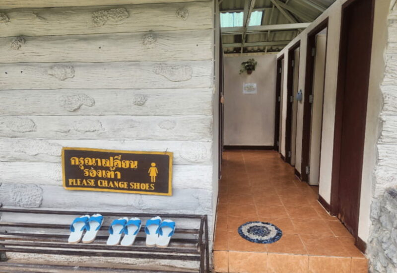 Chiang Mai: Sticky Waterfall, Bua Tong Cave Join Tour - The Experience at Bua Tong Cave