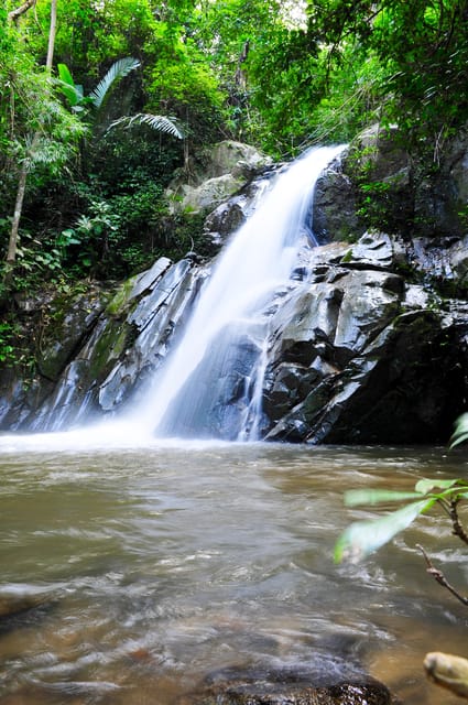 Chiang Mai: Sticky Waterfall & Caves Tour w/ Treehouse Stay - Who Is This Tour Best Suited For?