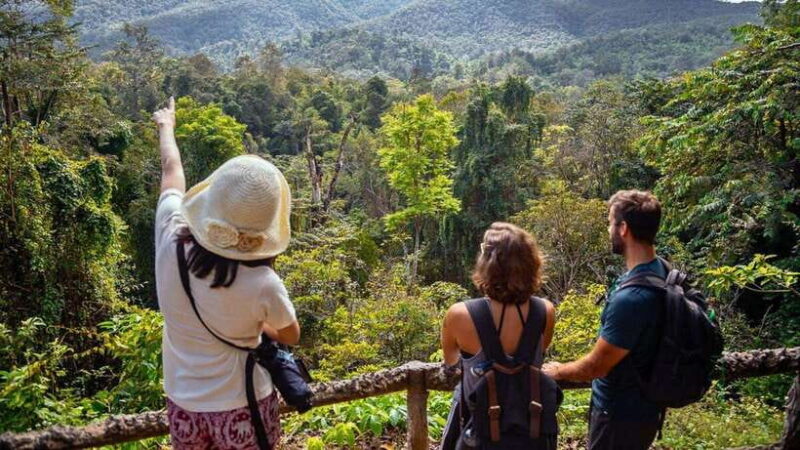 Chiang Mai: Sticky Waterfall, Chet Si Fountain Park Transfer - A Thorough Breakdown of the Itinerary and What to Expect